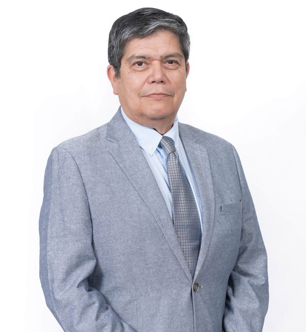 Equipo Ejecutivo - Grupo Minero Las Cenizas